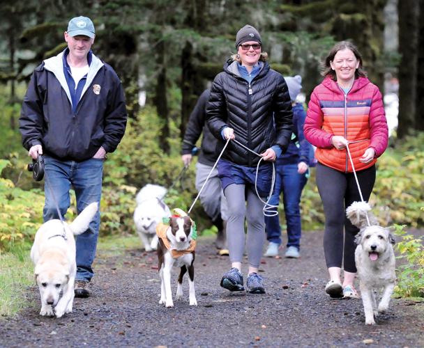 DOG DAYS | Local News | kodiakdailymirror.com