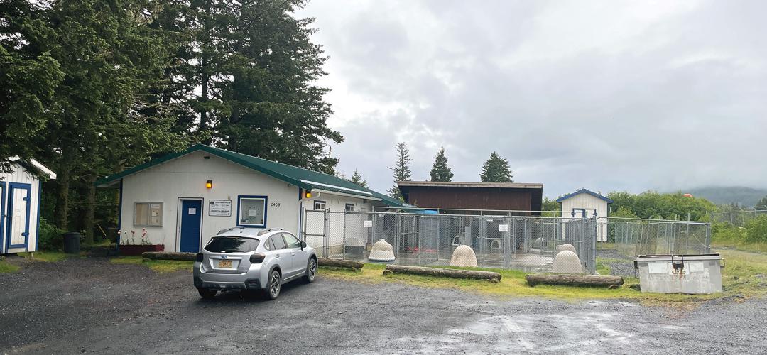 Shelter upgrade needed now to prevent disease, report says | Local News ...