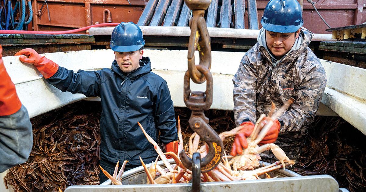 Amputations, broken bones among the injuries caused by winches on ...