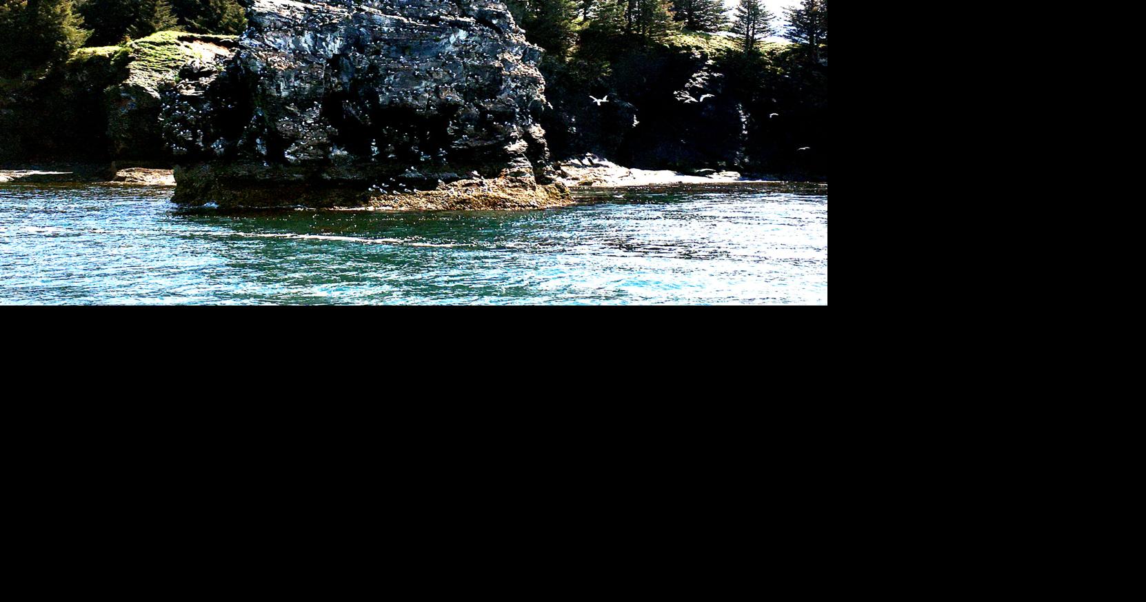 Kodiak Capture | Gallery | kodiakdailymirror.com