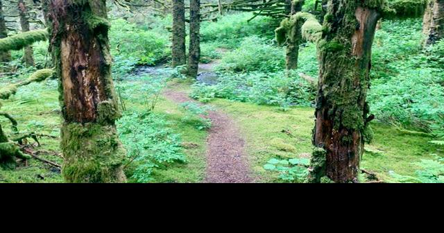 Monashka Mountain Trail. | Gallery | kodiakdailymirror.com