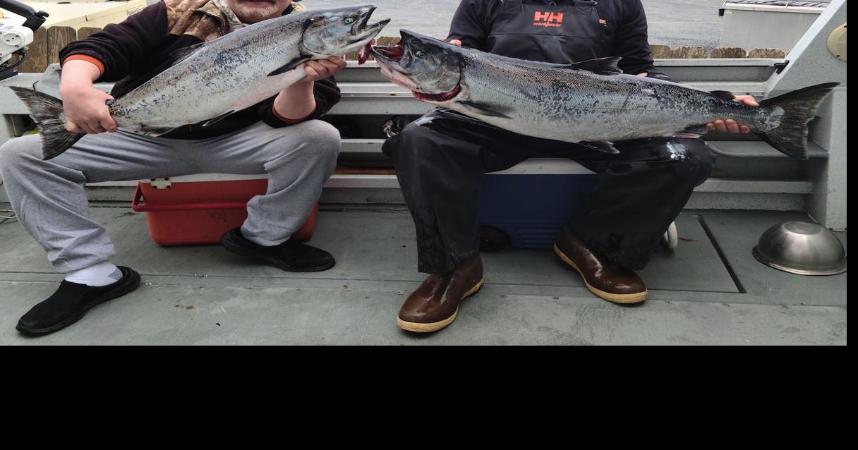 King salmon fishing closes on Chignik River | Local News ...