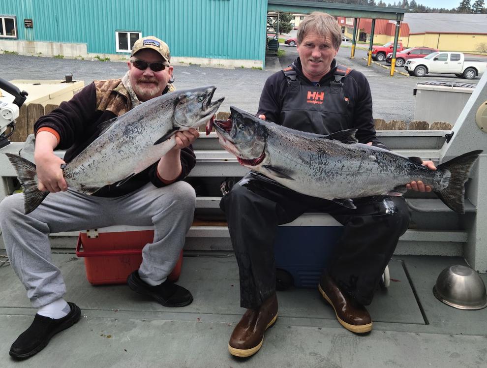 kodiakdailymirror.com | Local news for Alaska's Emerald Isle