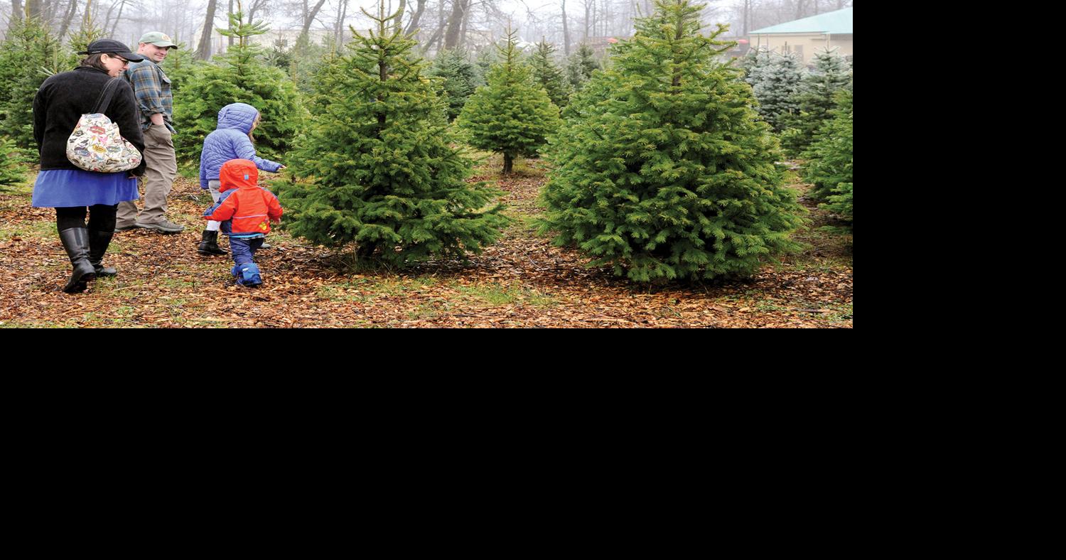 Farm grows a new Christmas tradition in Kodiak | Local News ...