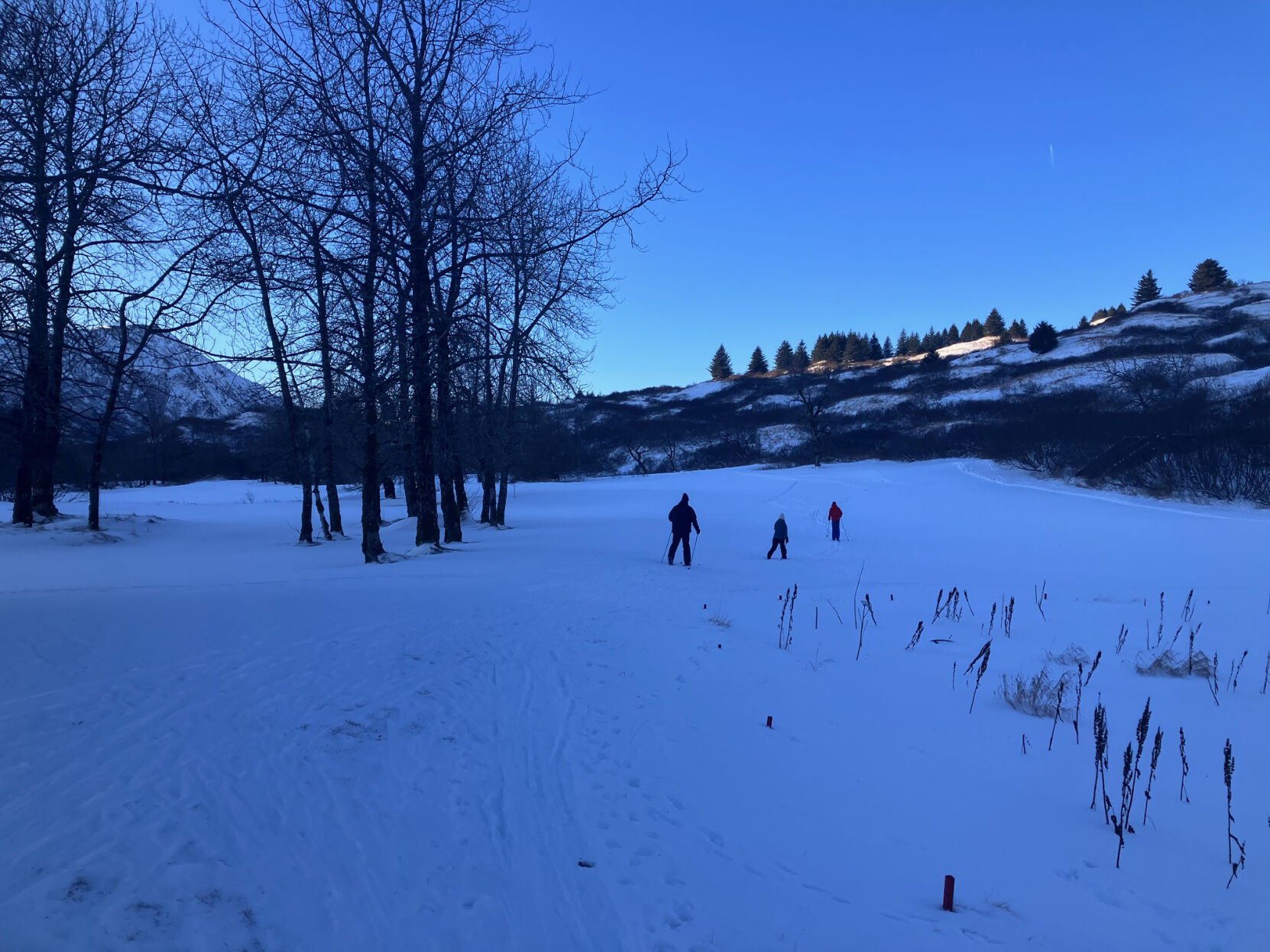 Skiing at Bear Valley | Gallery | kodiakdailymirror.com