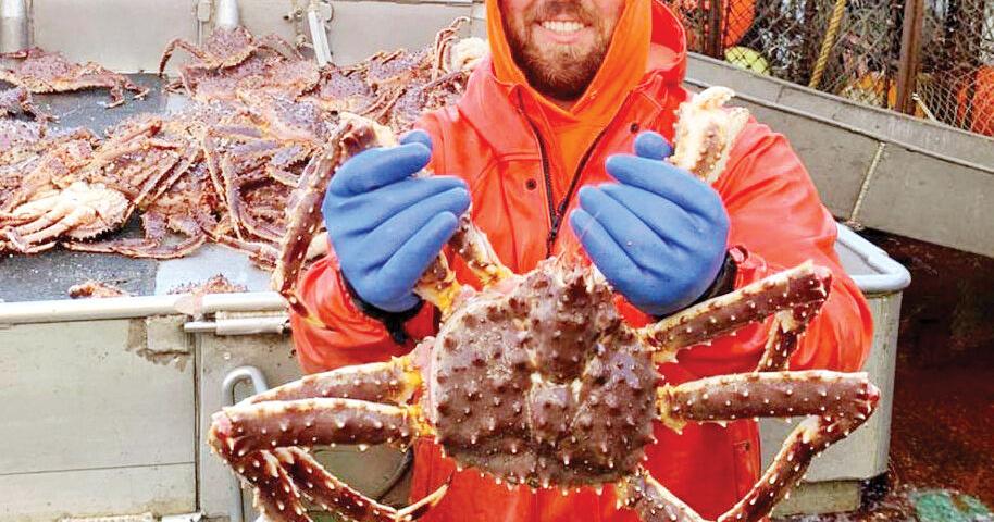 Red king crabs hurt by acidic trend in Bering Sea, study suggests ...