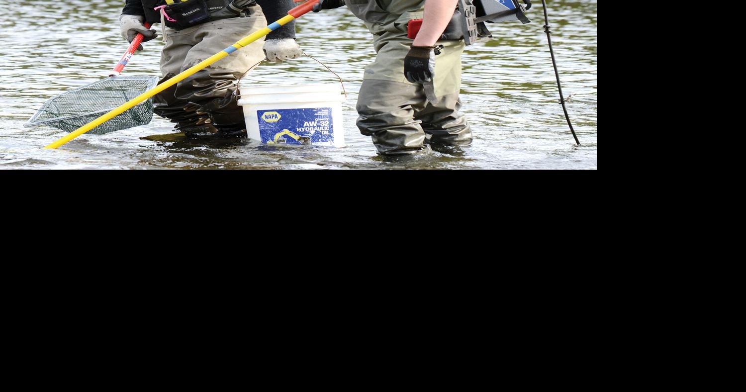 Biologists use new method to eradicate mudbugs from Buskin Lake | Local ...