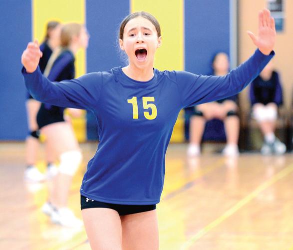 Wasilla takes middle school volleyball tourney | Local Sports ...