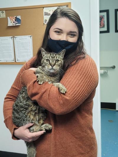 HOMER’S ODYSSEY: Lost Kodiak cat reunited with owner 13 years later ...