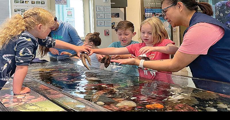 Touch Tank opens for first time in two years | Local News ...