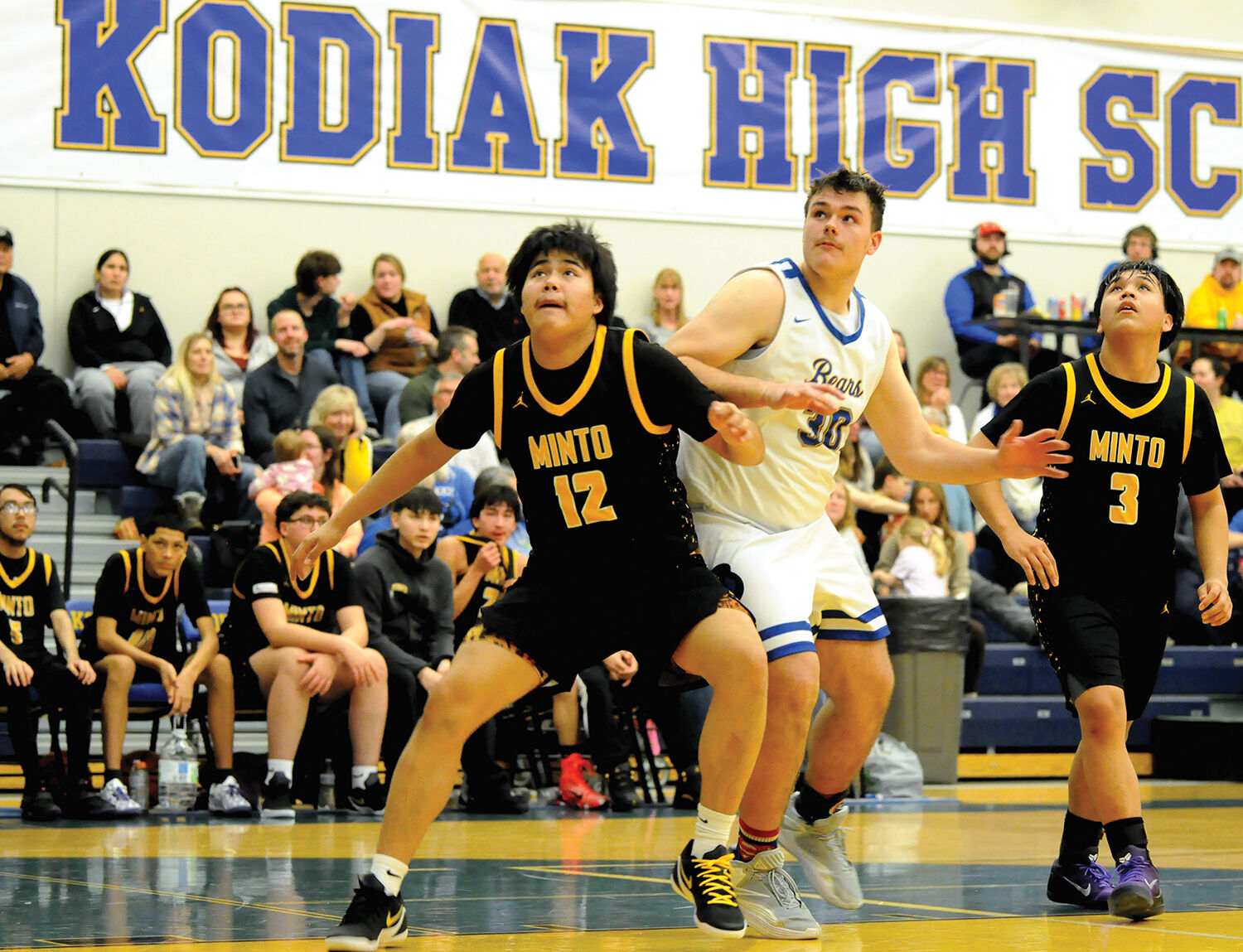 kodiakdailymirror.com | Local news for Alaska's Emerald Isle