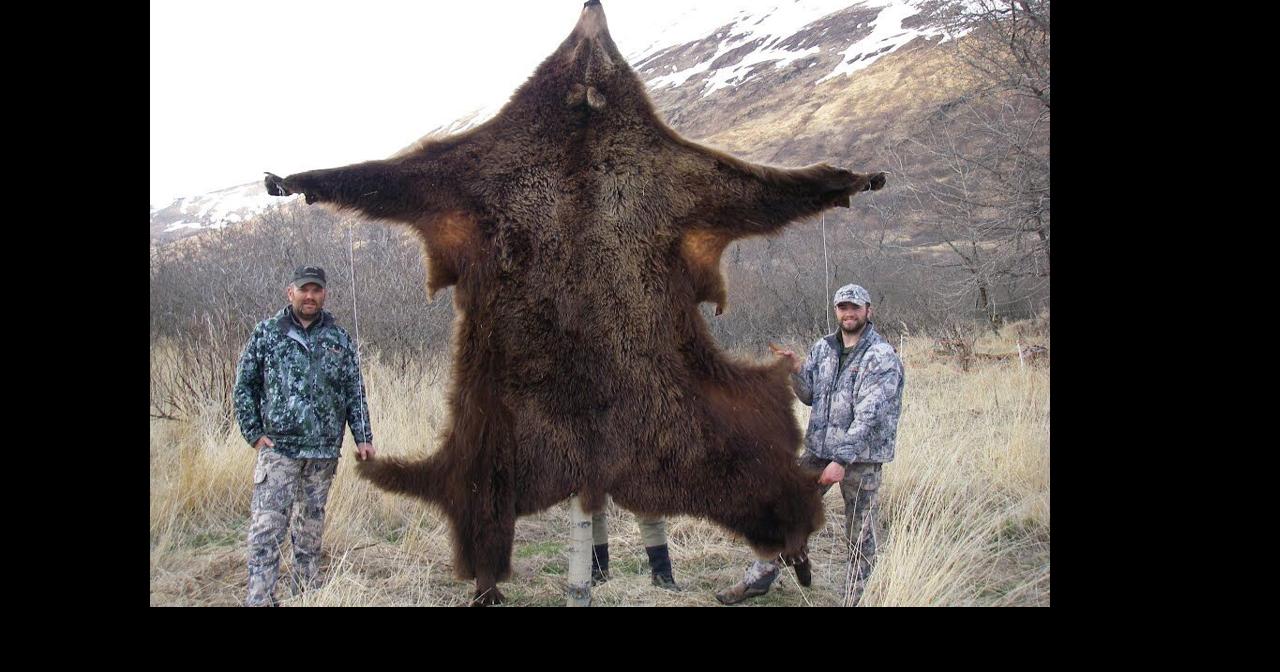 "Giant, 10-Foot Kodiak Island Alaska Brown Bear Hunt" MDMM Lost Season ...