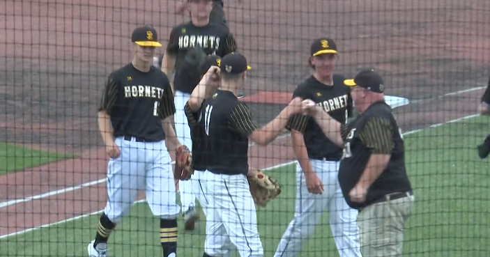 St. Elizabeth Baseball storms into Class 1 Championship Game | Sports ...