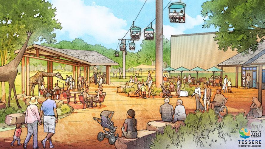 Kansas City Zoo plans new giraffe complex for 2026 | State News | komu.com