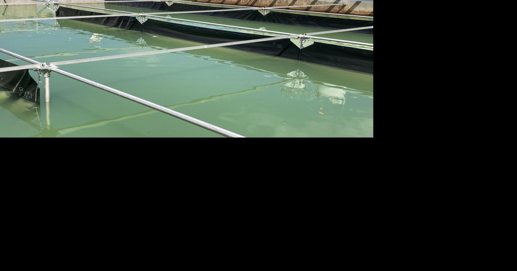 Construction of Chemical Building draws controversy from COMO Safe Water Coalition | Mid ...