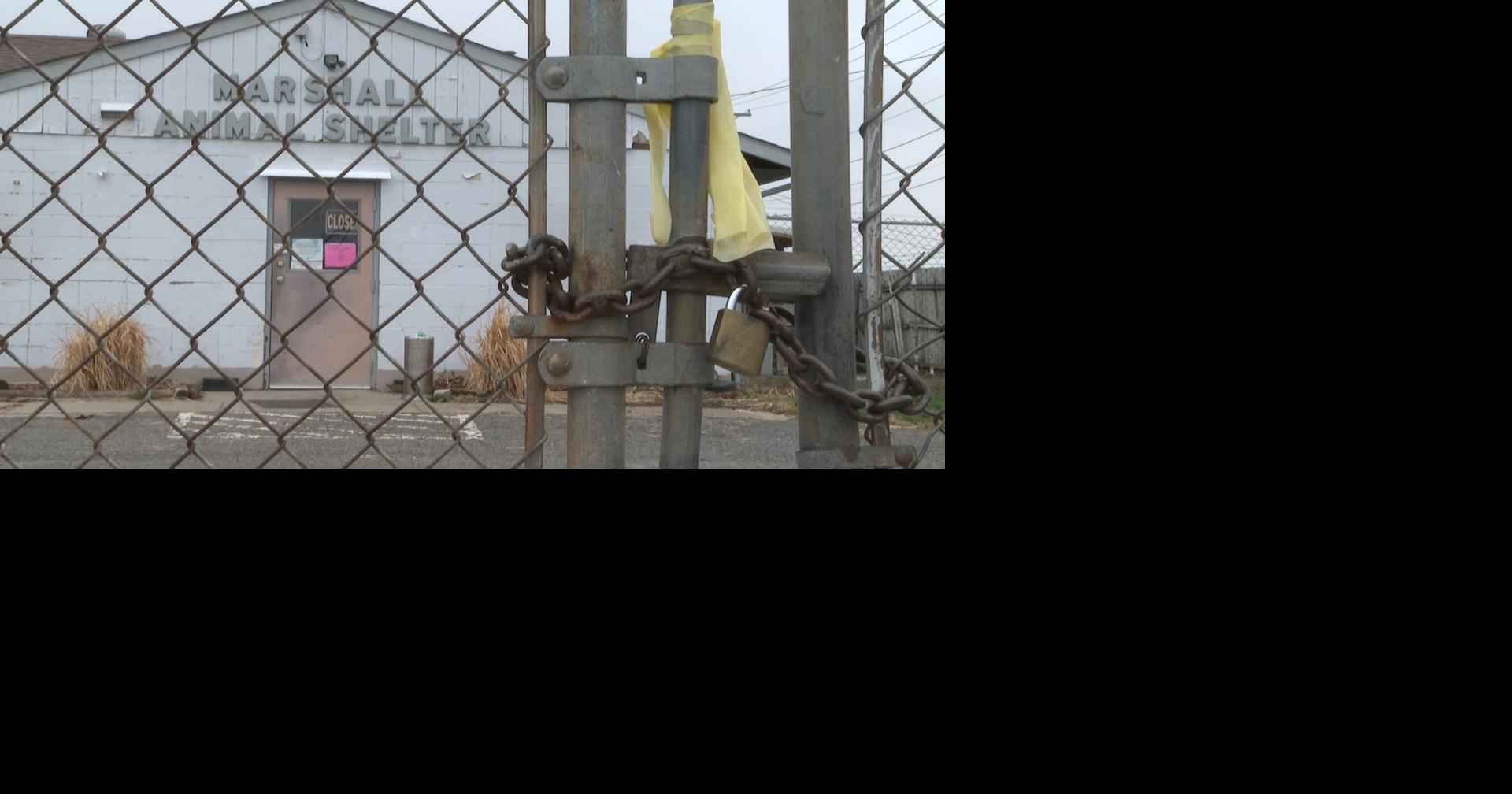 Marshall animal shelter abruptly evicted, community left stunned | Mid ...