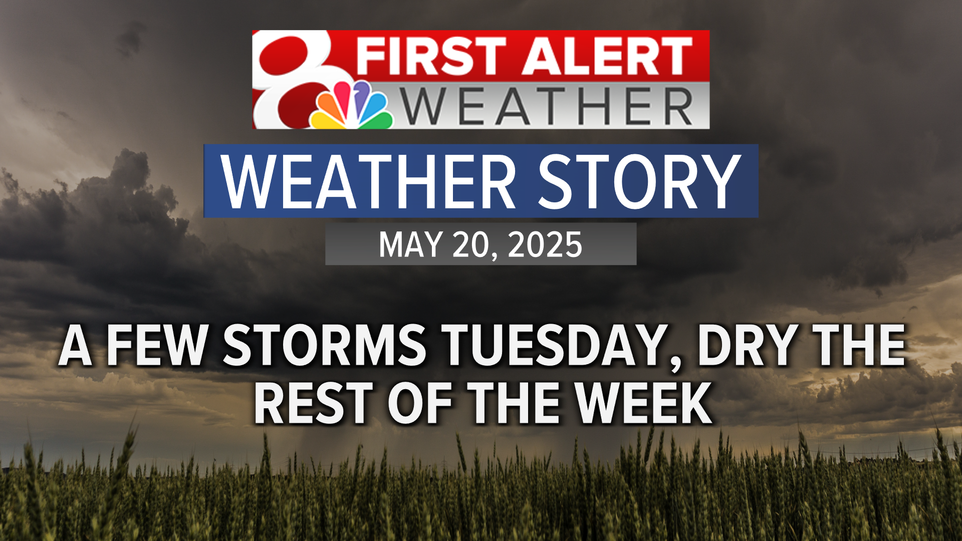 BASF Hannibal plant receives final hazardous waste permit | State News ...