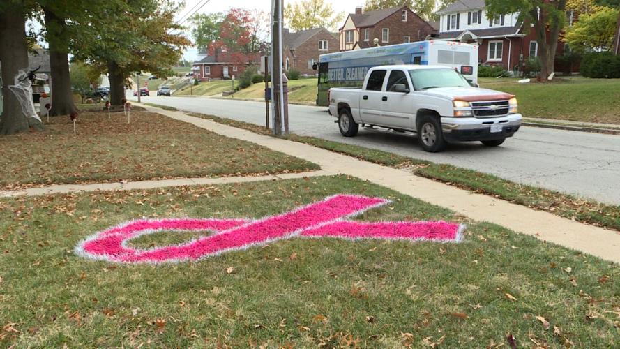 EmVP: Man paints nearly 80 pink ribbons for breast cancer awareness ...