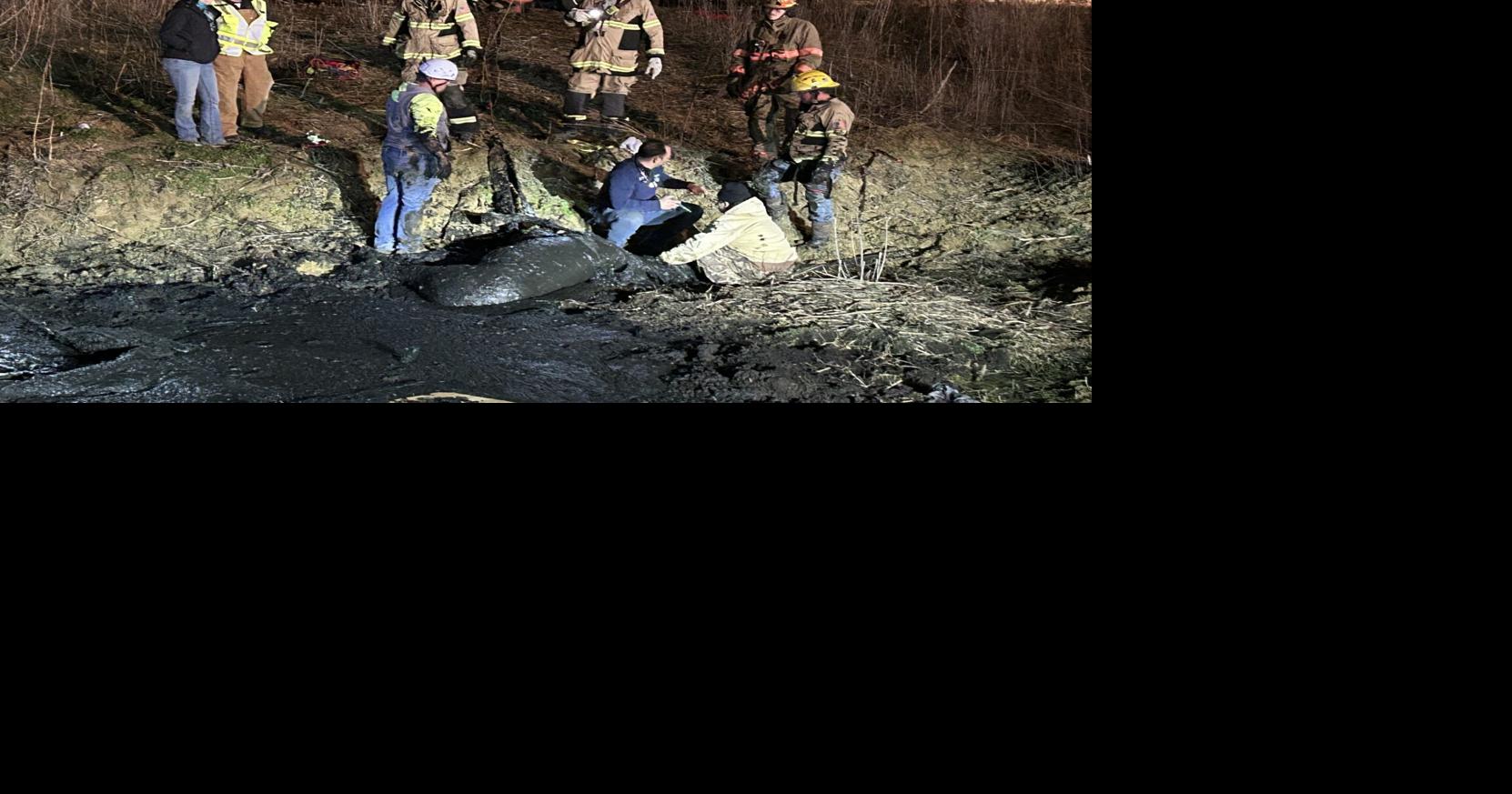 Firefighters reunite with horses rescued from deep mud | Mid-Missouri ...
