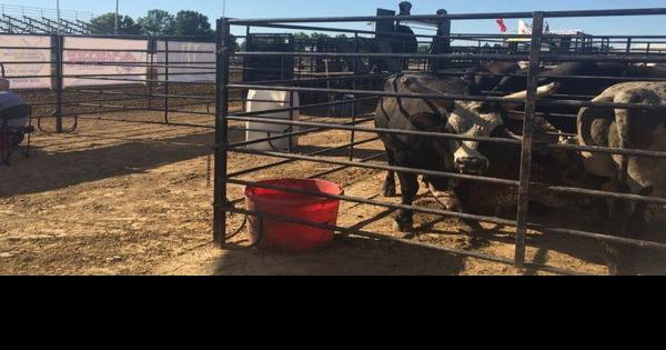 Veterans benefit from bull riding fundraiser | News | komu.com