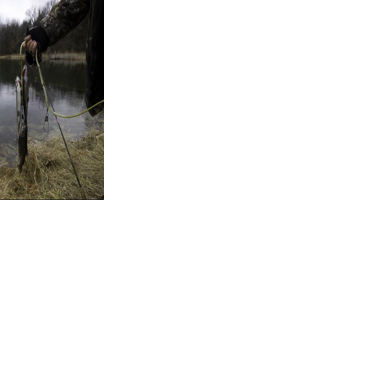 MDC trout fishing program to be held in Fulton on Feb. 8 | Mid-Missouri ...