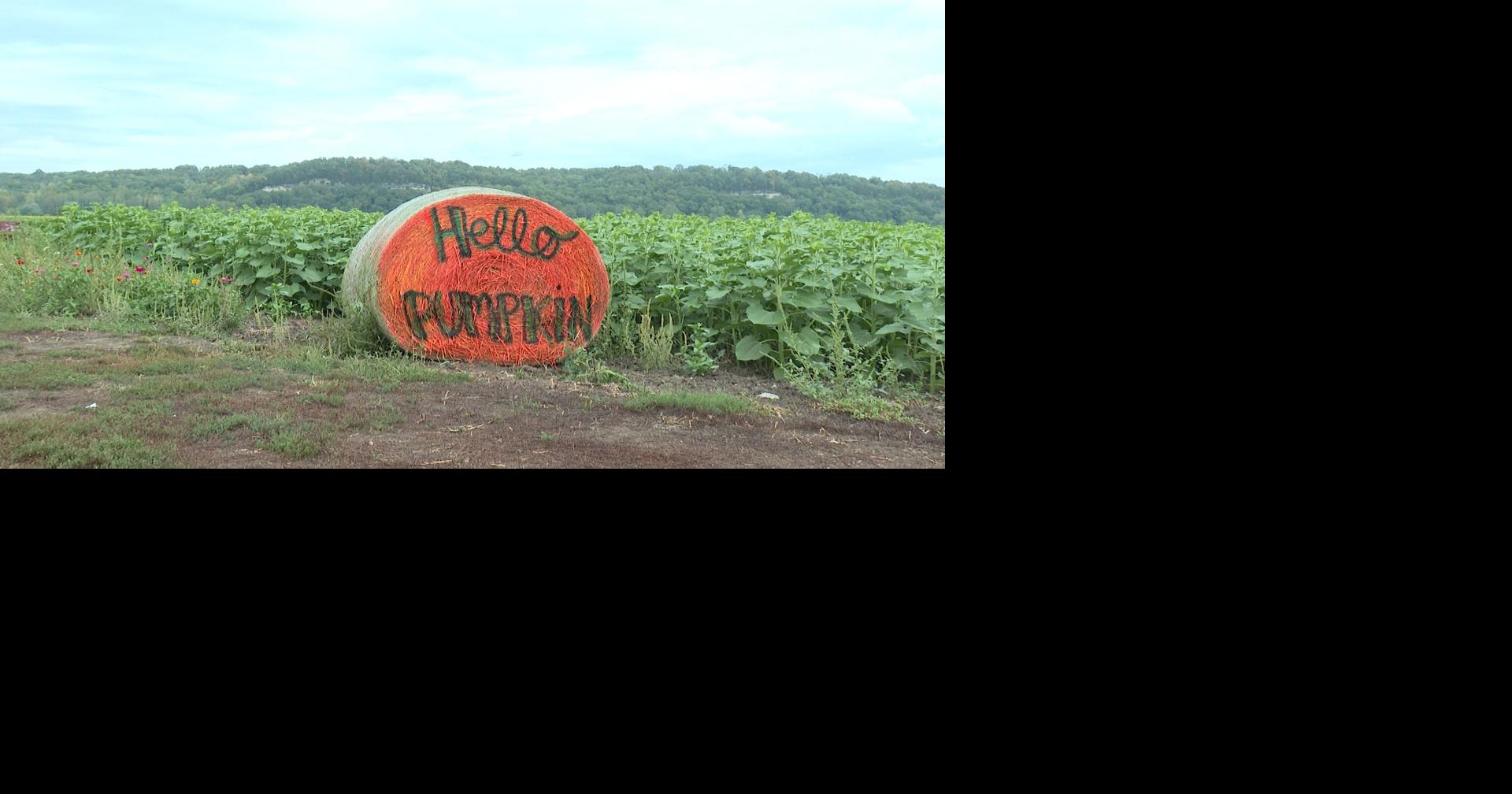 State leaders discuss ongoing drought challenges including fall crops ...