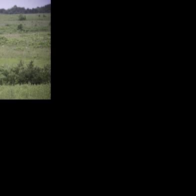 MDC reminds deer hunters of changes for upcoming season | State News ...