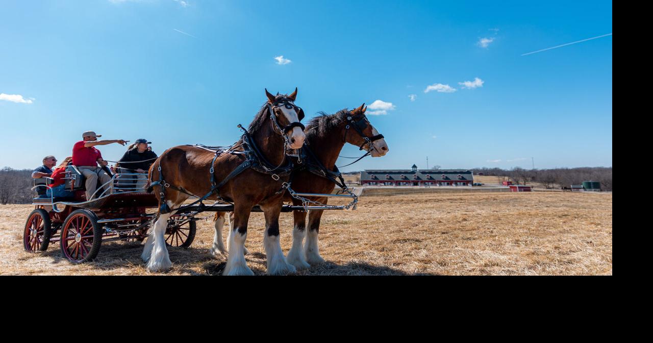 Warm Springs Ranch opening for the season on Saturday | Mid-Missouri ...