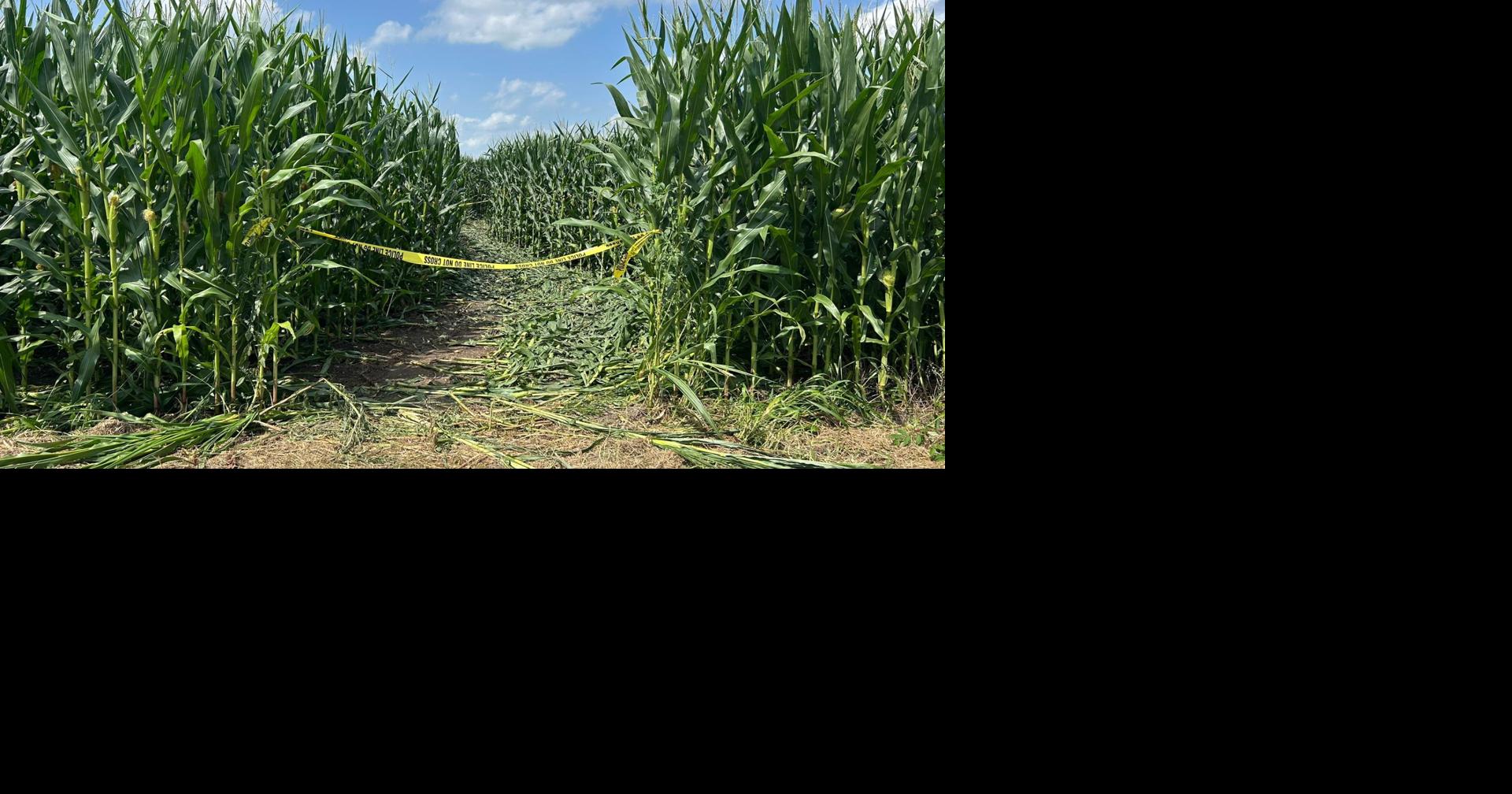 Crop duster crashes near Centralia, snagging power lines | Mid-Missouri ...