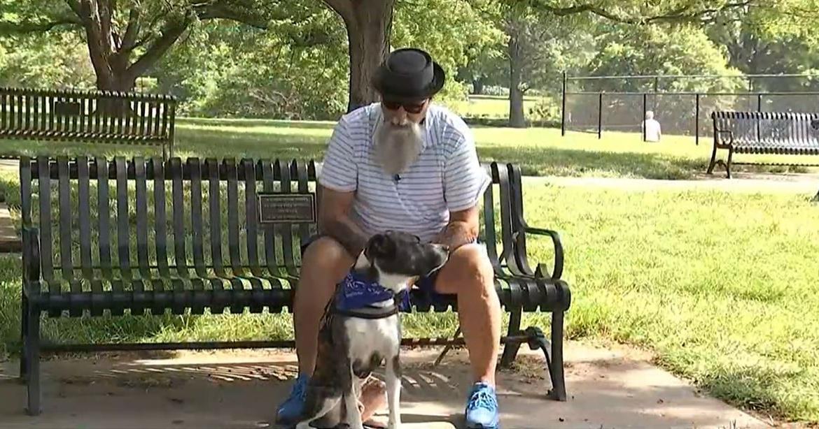 Definition of ‘service dog’ causes confusion, tensions between owner ...