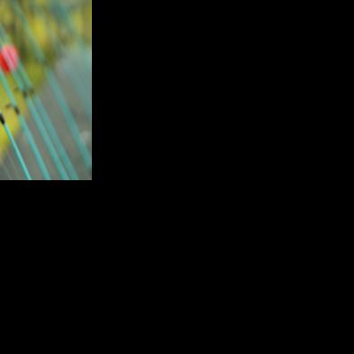 MDC to hold fishing lessons at Bass Pro Shop in Columbia | Mid-Missouri ...