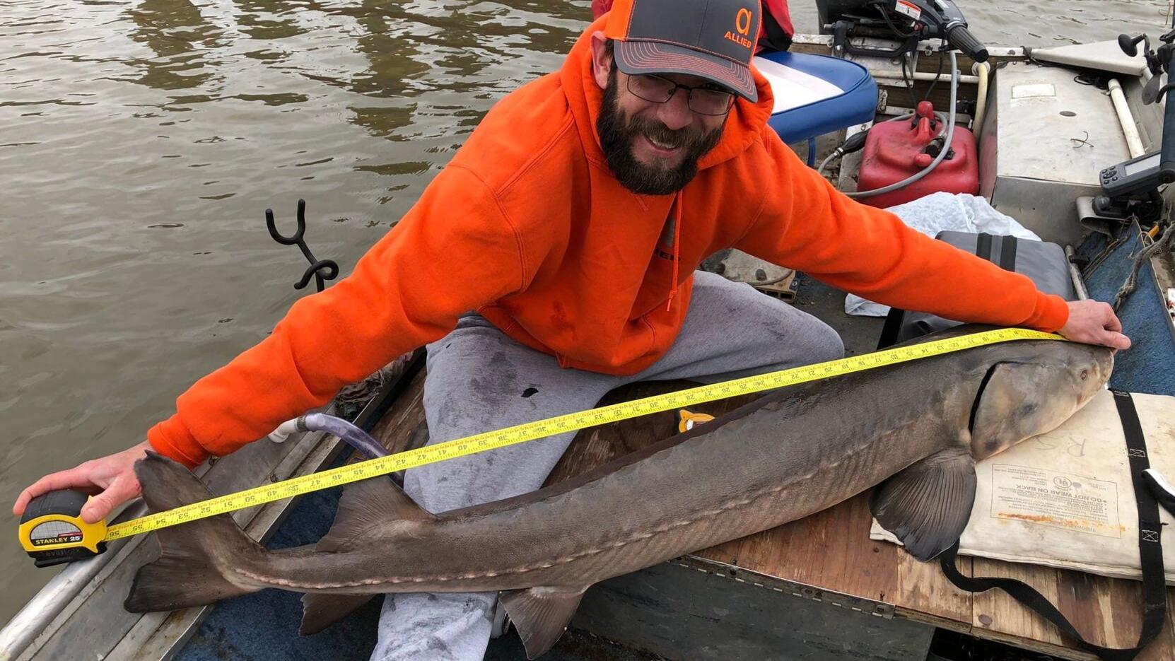 record sturgeon fish