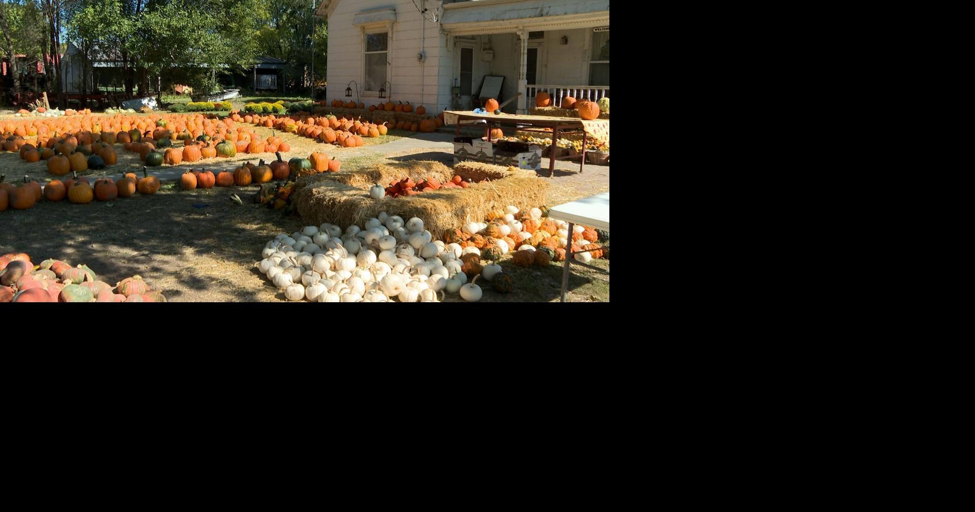 Halloween events happening across mid-Missouri | Mid-Missouri News ...