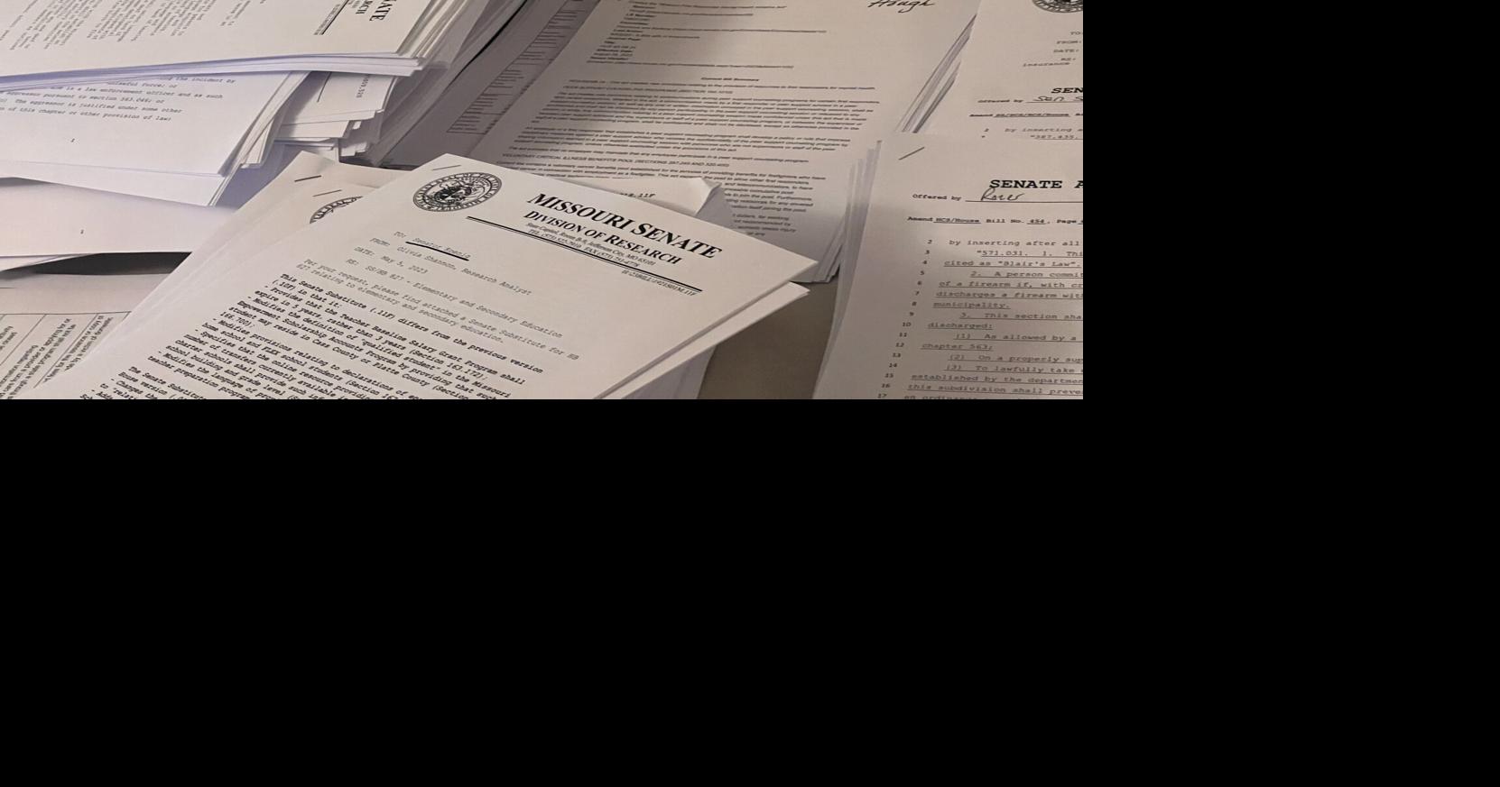 Highly-debated priority bills await consideration during Senate ...