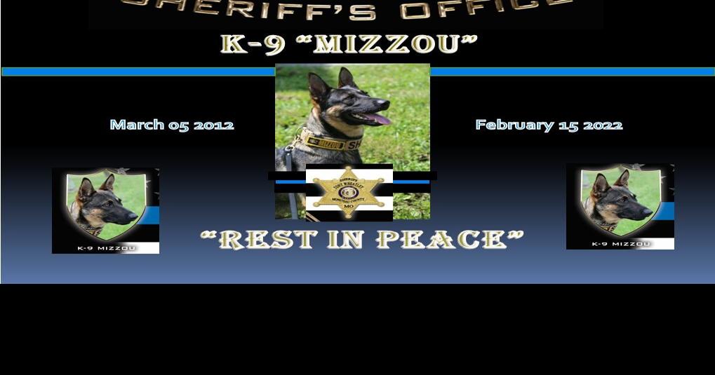 Moniteau County Sheriff's K-9 'Mizzou' passes away | Mid-Missouri News ...