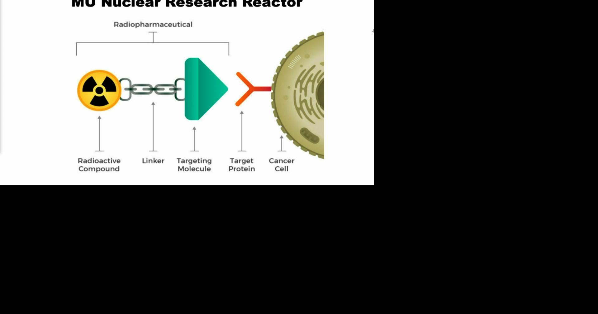 Second nuclear research reactor to make Missouri 'epicenter for nuclear ...