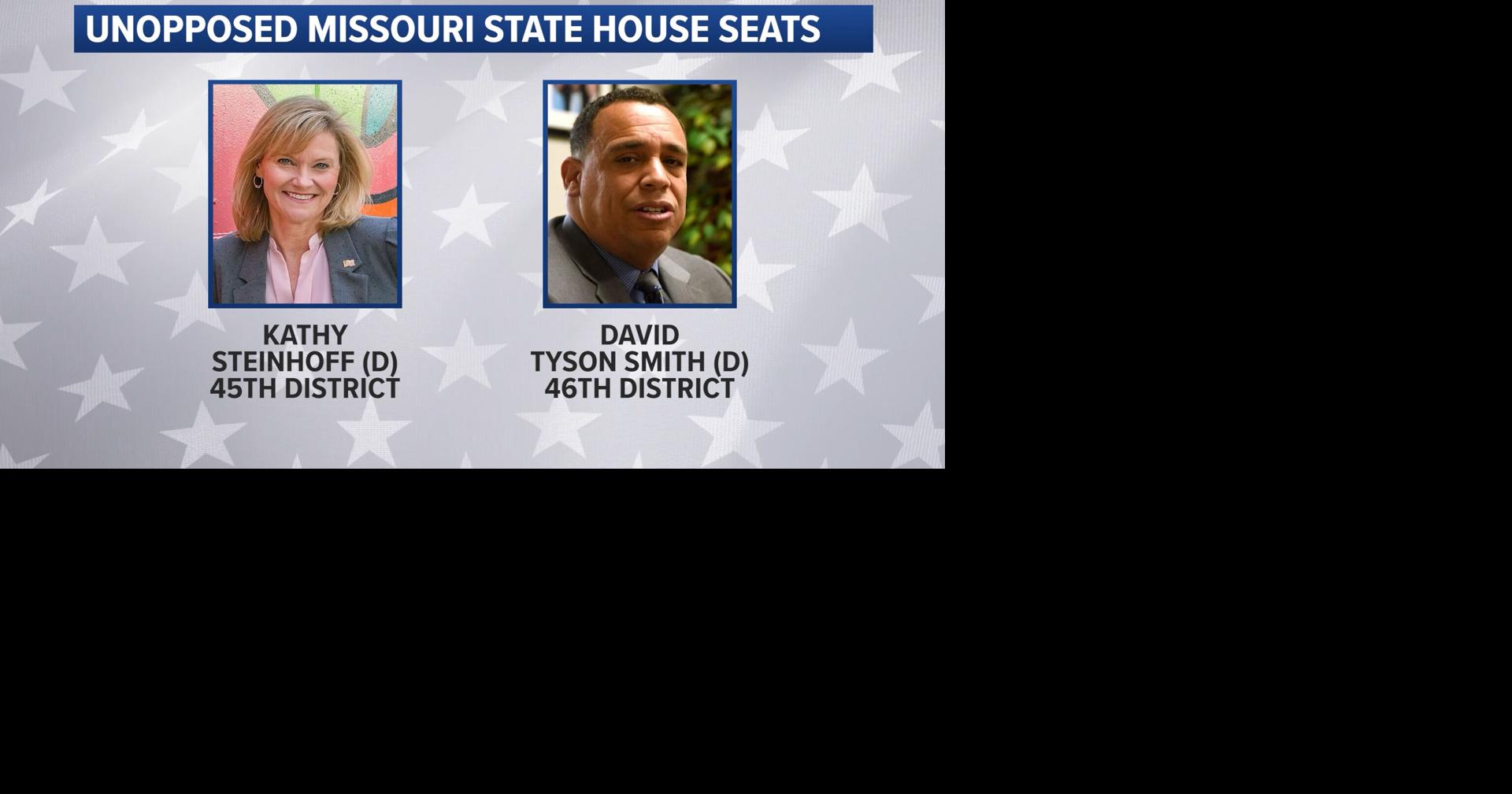 Two Democrats run unopposed for House 45 and 46 seats | Elections ...