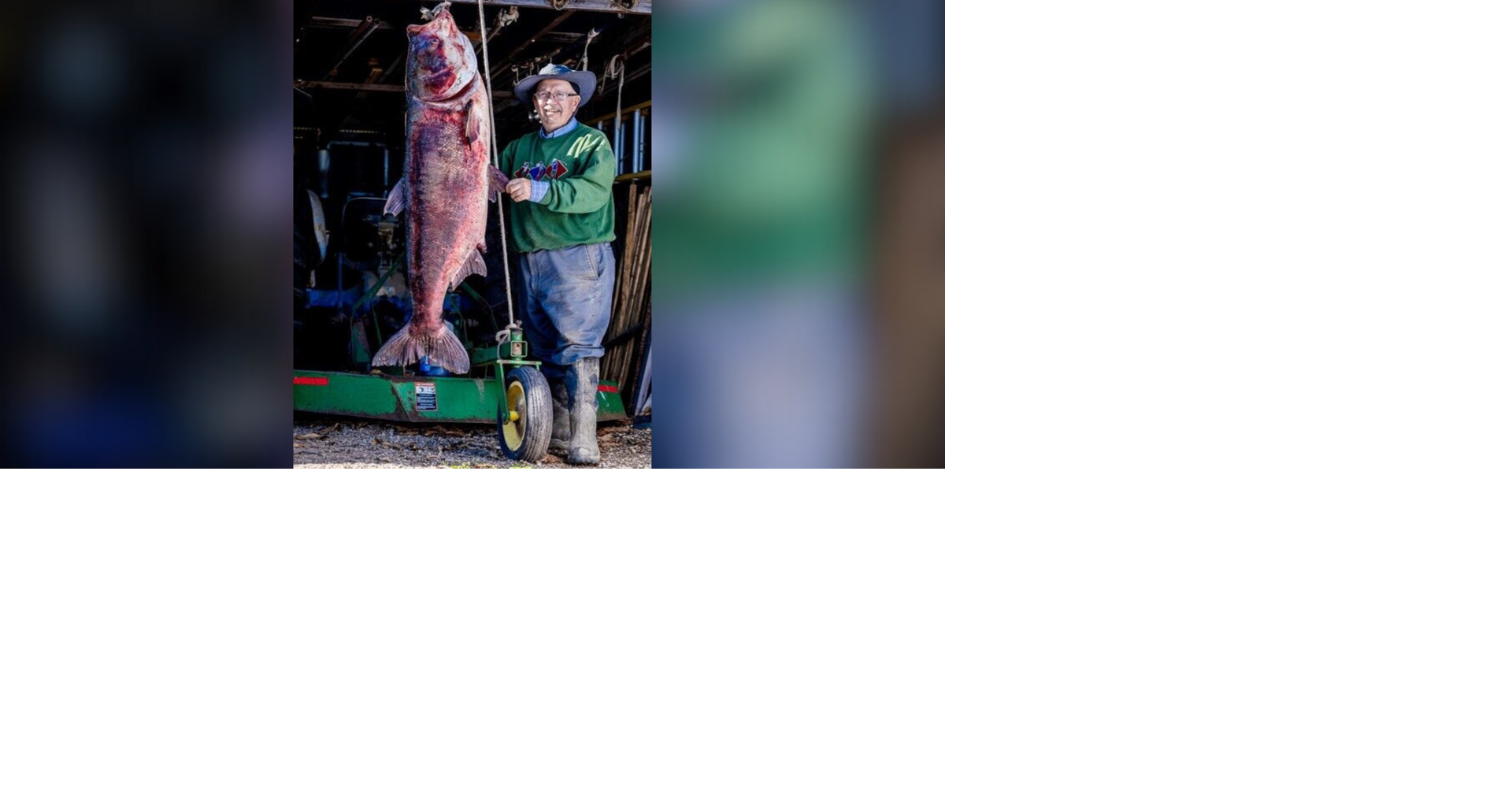 Missouri man catches world record-sized bighead carp | State News ...