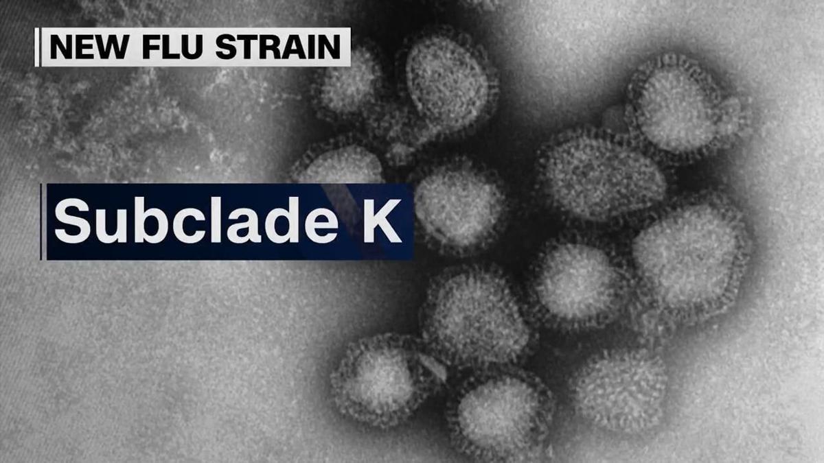 flu vaccine under microscope