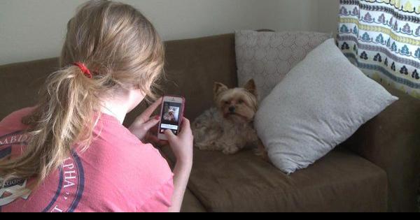 New App Makes Finding Fido Easier | News | komu.com