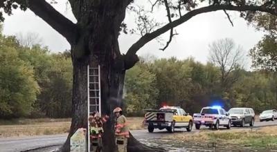 Smoke comes from Big Tree after witnesses say lightning struck it | Mid ...