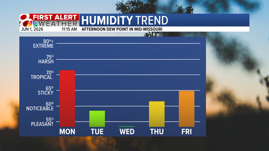 Forecast: An isolated shower possible this afternoon, sunny and dry ...