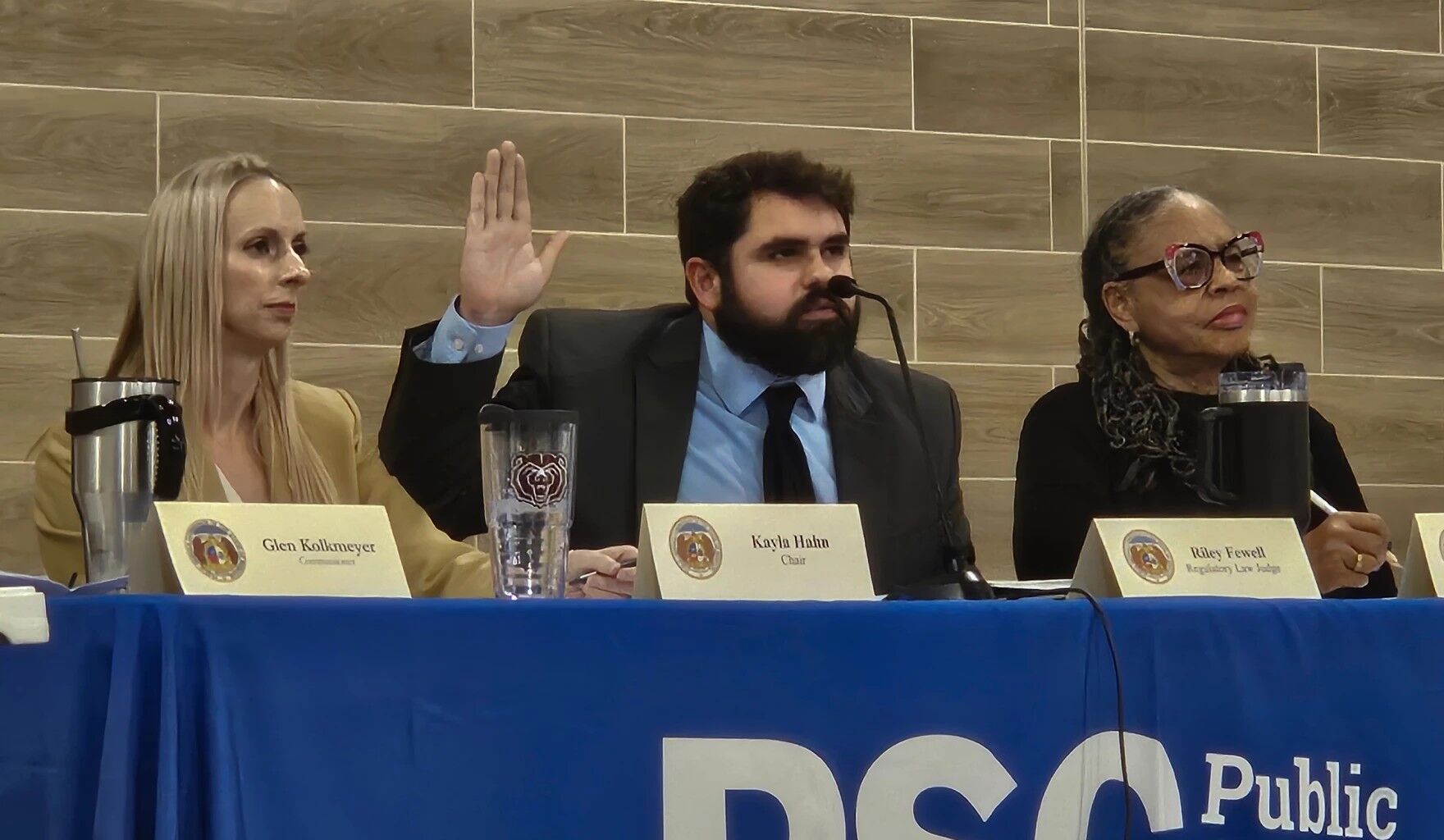 Proposed solar project receives support at Fulton public hearing | Mid ...