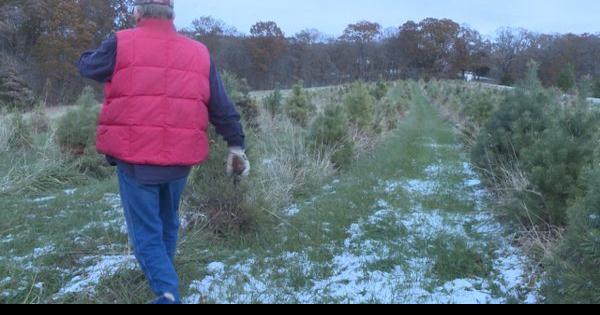 Timber View Tree Farm | News | komu.com