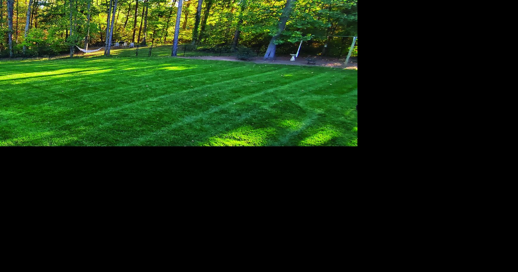 A breakthrough making grass seed smarter and lawns greener | | kpcnews.com