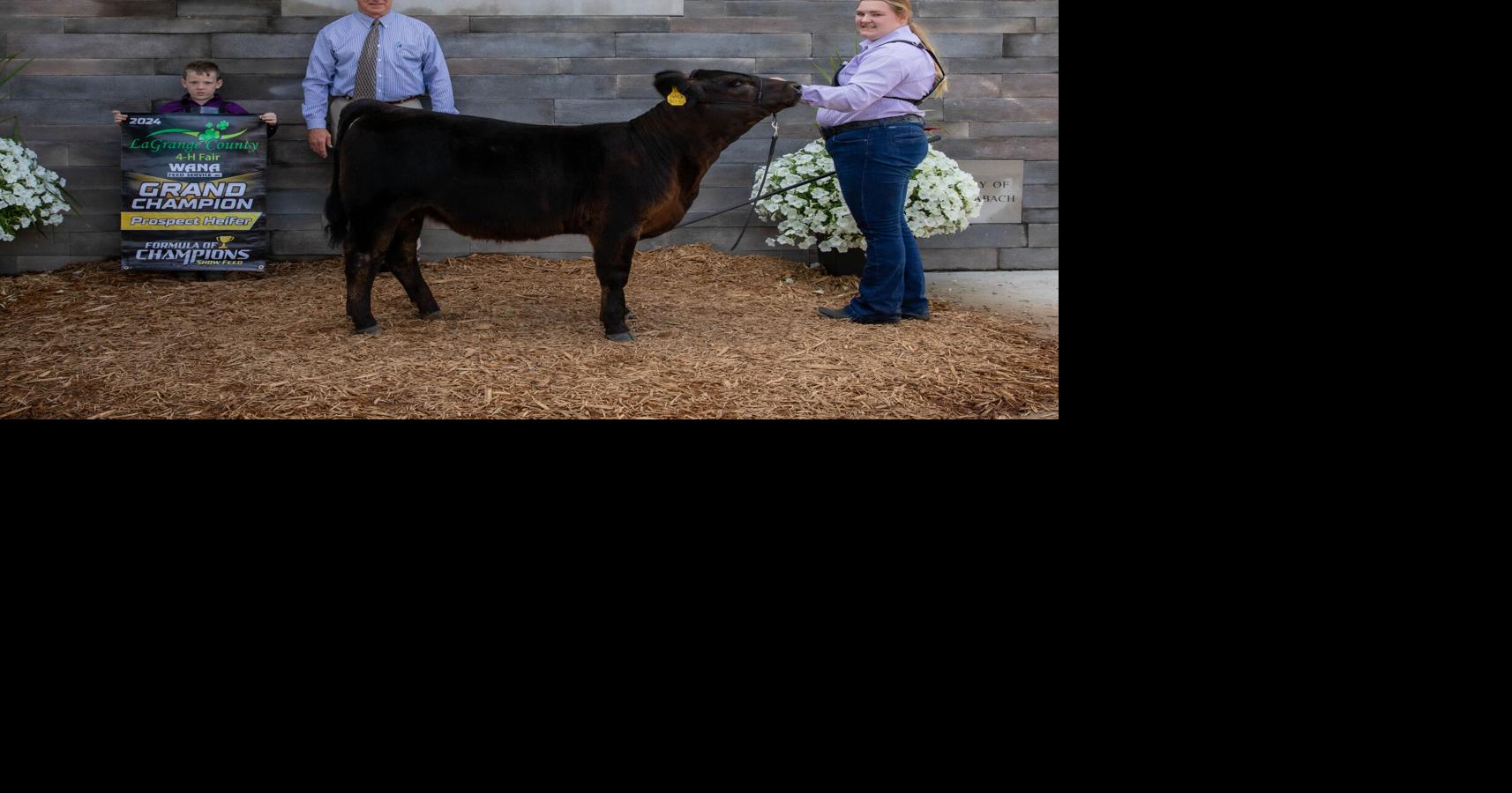 LaGrange 4-H Beef | | kpcnews.com