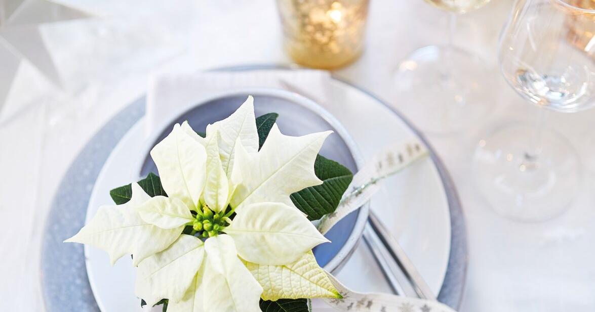 DIY placeholders add a special touch to the holiday table | Kpcnews ...
