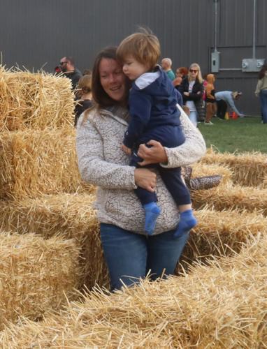 Straw maze | Thestar | kpcnews.com