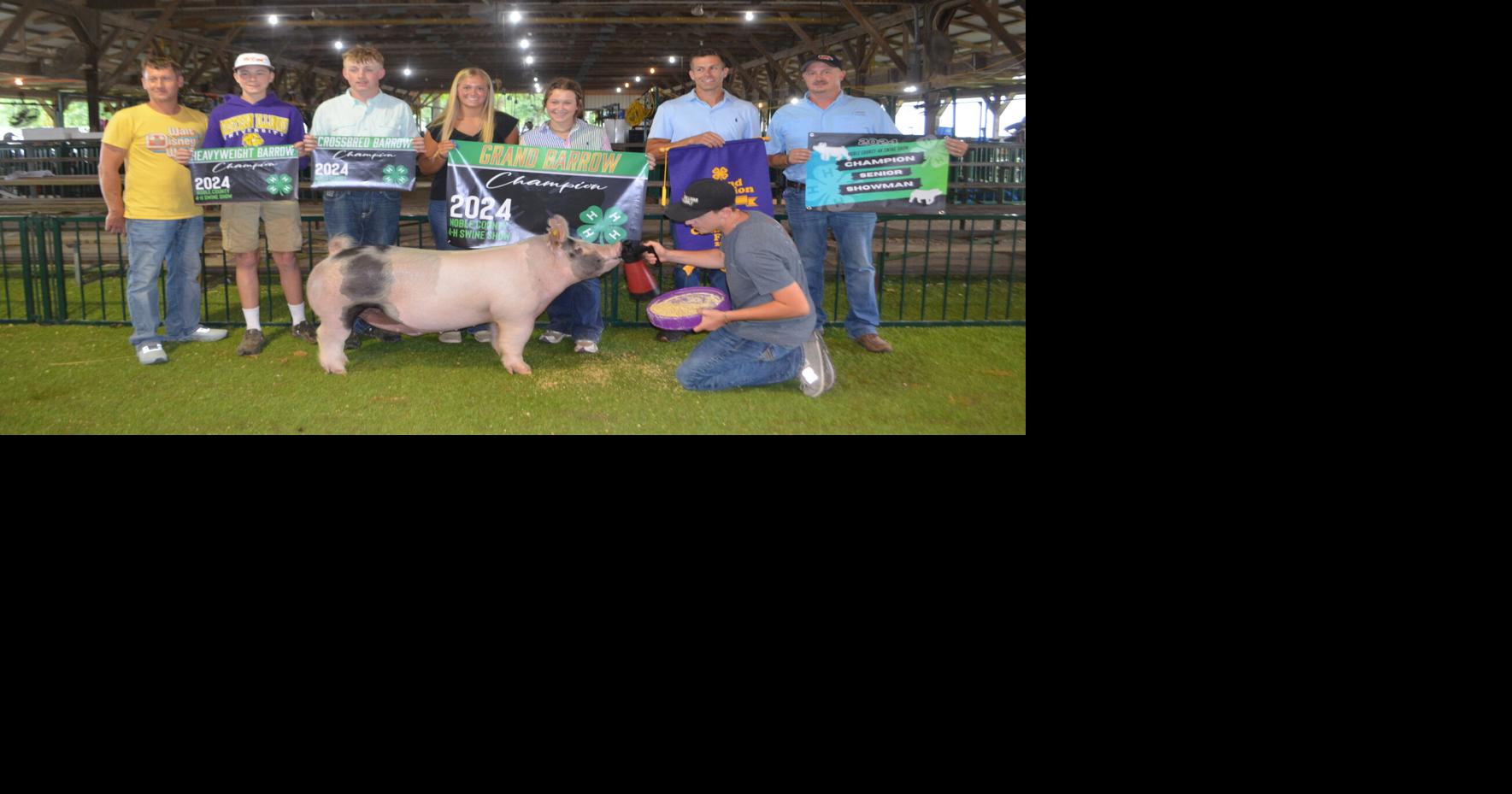 Grand champion barrow | News Sun | kpcnews.com