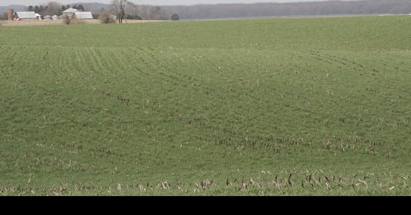 Improved tool can help Midwest farmers with cover crop decisions ...